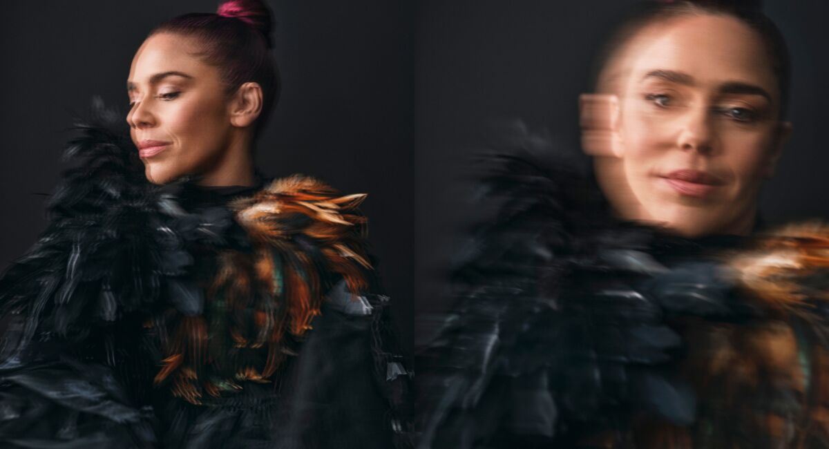 Migrating Bird - HOTA